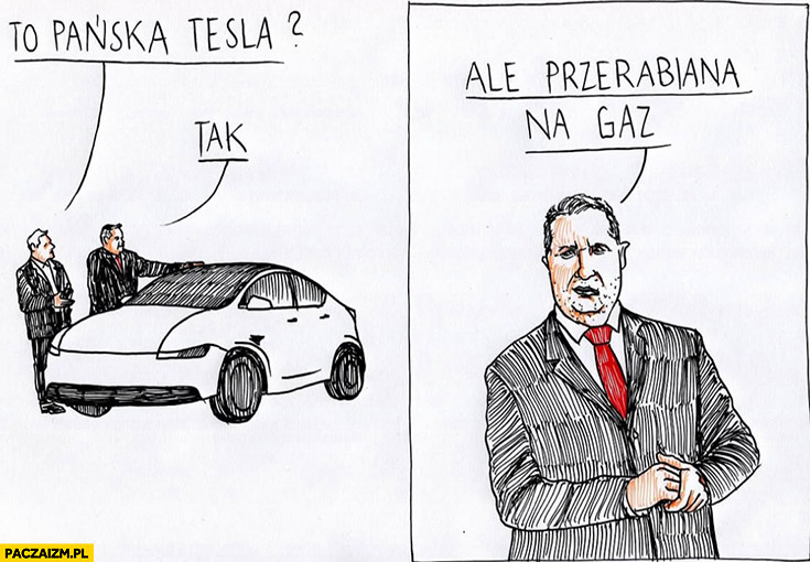 Przemysław Czarnek memy – Paczaizm.pl | memy polityczne, śmieszne ...
