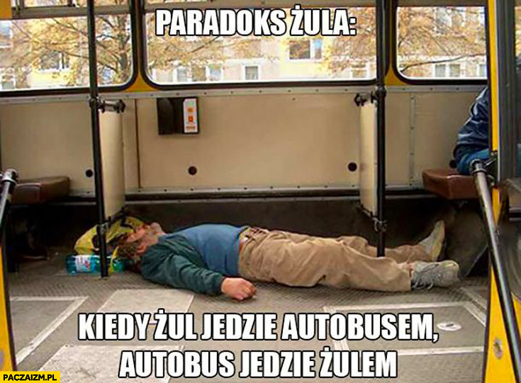 Paradoks ula Kiedy ul Jedzie Autobusem Autobus Jedzie ulem Paczaizm pl Paradoks ula Kiedy ul Jedzie Autobusem Autobus Jedzie ulem Paczaizm pl